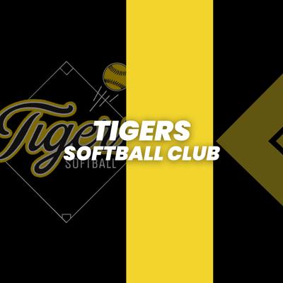 Shields SC – THEACEGROUP Pty Ltd