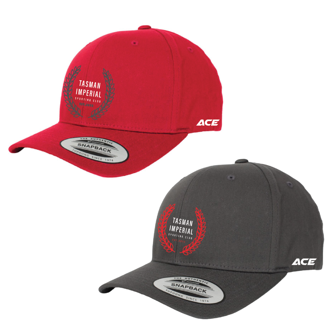 TISC Flexfit Cap – THEACEGROUP Pty Ltd
